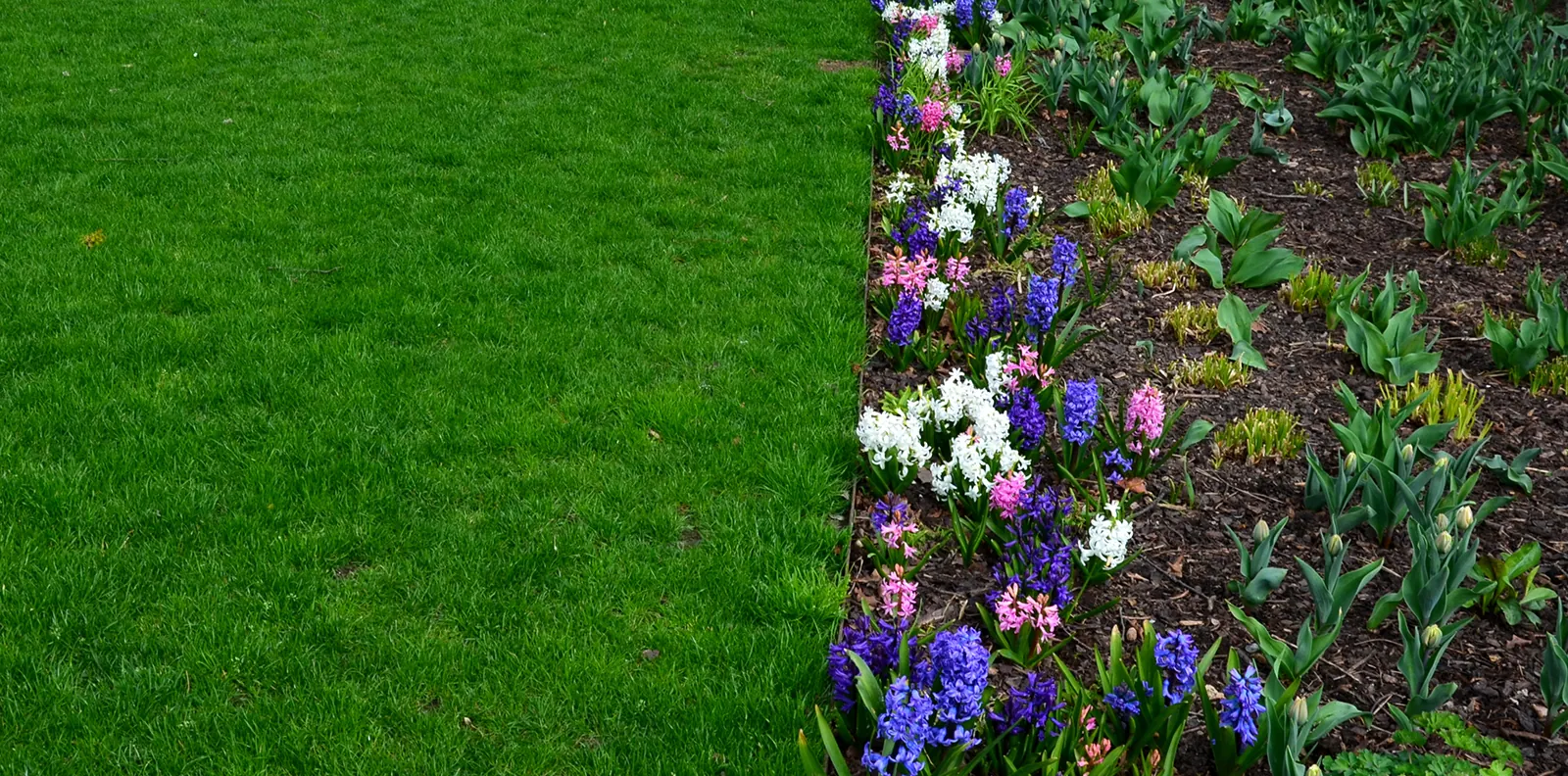 Spring Garden Landscaping Service is a full service, family-owned ...